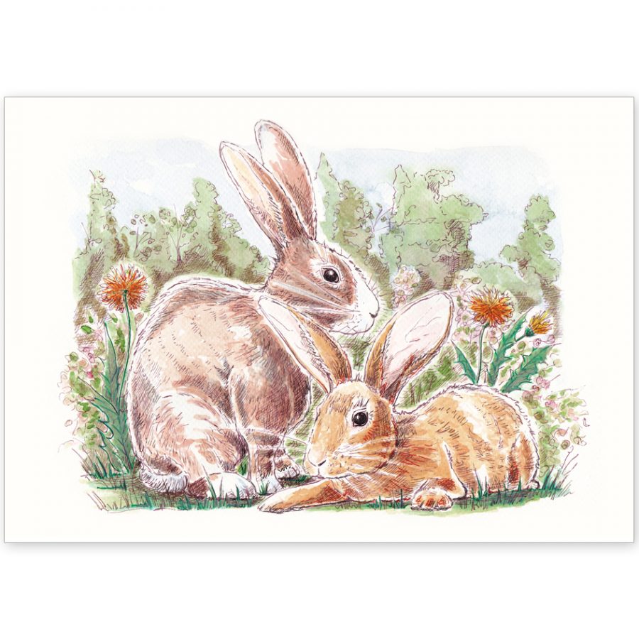 Giant Rabbits – Jill Michelle Art